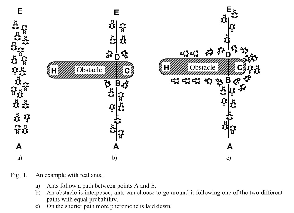 蚂蚁系统(Ant System,AS) | Computational-intelligence